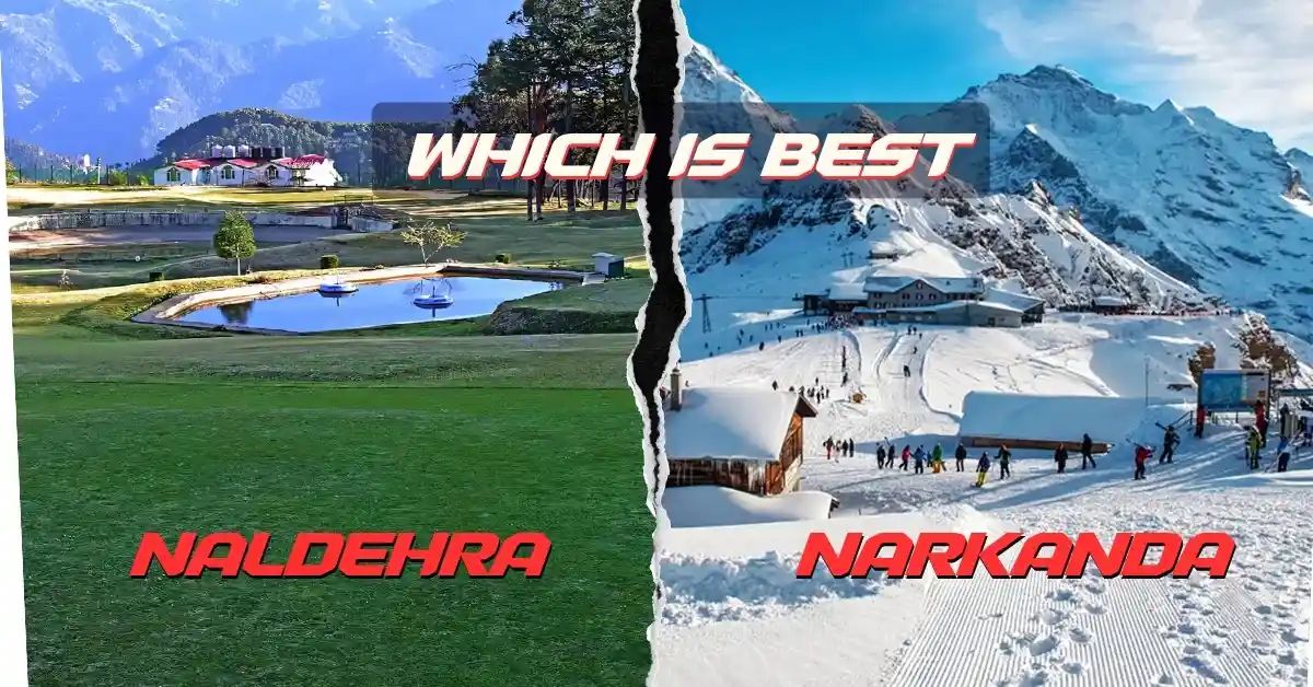 Naldehra vs Narkanda – Which is the Better Hill Station?