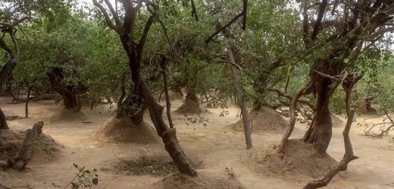 Mysterious Temples in India: Explore Ancient Secrets
