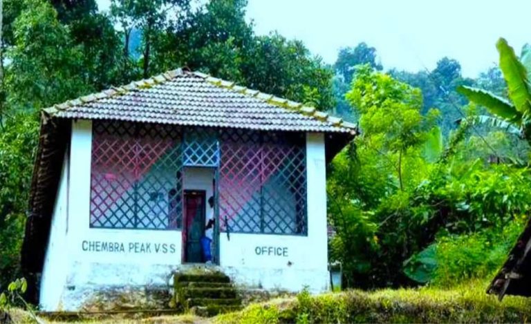 Chembra Peak Trekking in Wayanad – Complete Guide to the Scenic Trek