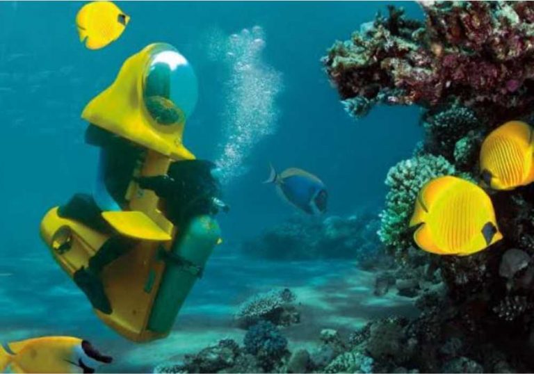 Top Things to Do in Maldives for Couples – Romantic Maldives Activities