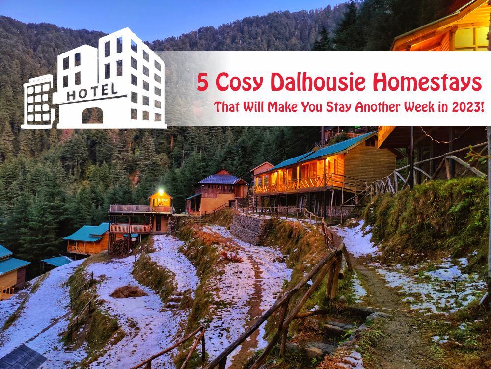 5 Cosy Dalhousie Homestays That Will Make You Stay Another Week