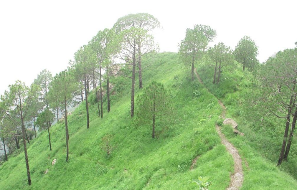 Gilbert Trail, Kasauli, Himachal