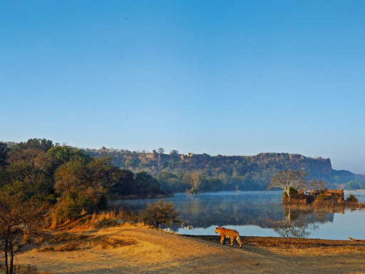 About Padam Talao Ranthambore Rajasthan