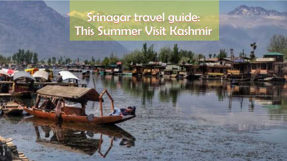 Srinagar travel guide: This Summer Visit Kashmir