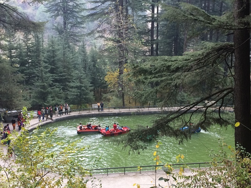 Van Vihar National Park Manali: Activities, Things To Do, Best Time ...