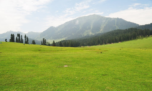 Yusmarg Tour | Tour of Yusmarg, Jammu and kashmir, India