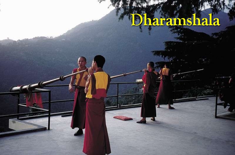 5 Things To Explore on Dharamshala Tour: Camping, Places Nearby
