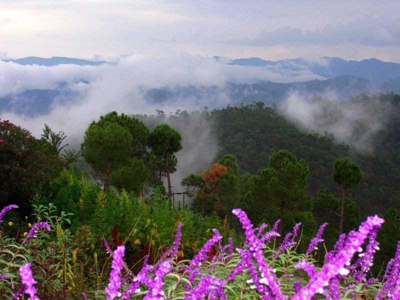 6 Phenomenal Places To Explore In Almora Tourist Place | Visit 6 ...