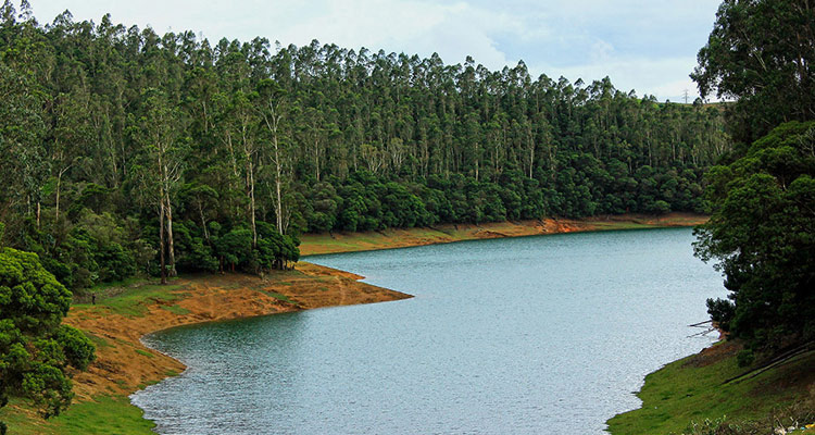 Why is Ooty Famous For Tourism | Short History of Ooty